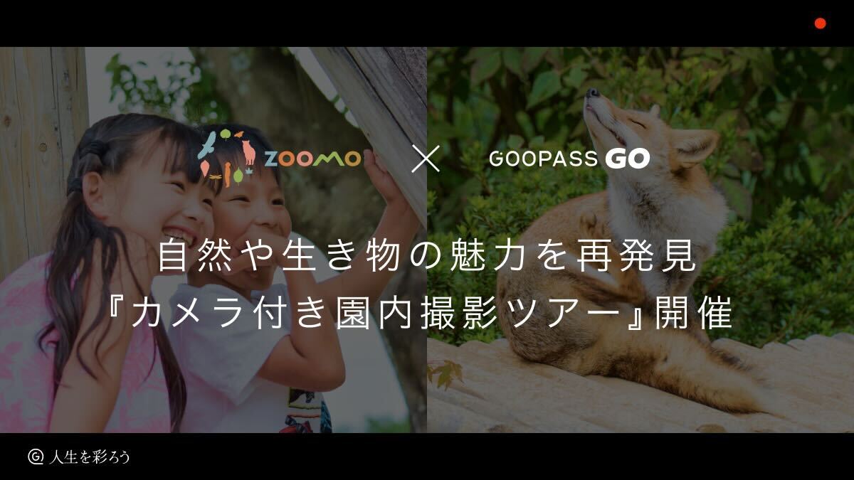 「見る・触る・体験する」を楽しめるアウトドアイベントIWAYAMA HELLO FESTIVAL 2024×GOOPASS GO自然や生き物の魅力を再発見『カメラ付き園内撮影ツアー』開催 ...